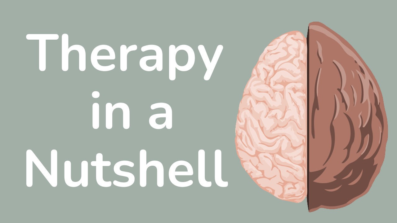 Therapy in a Nutshell